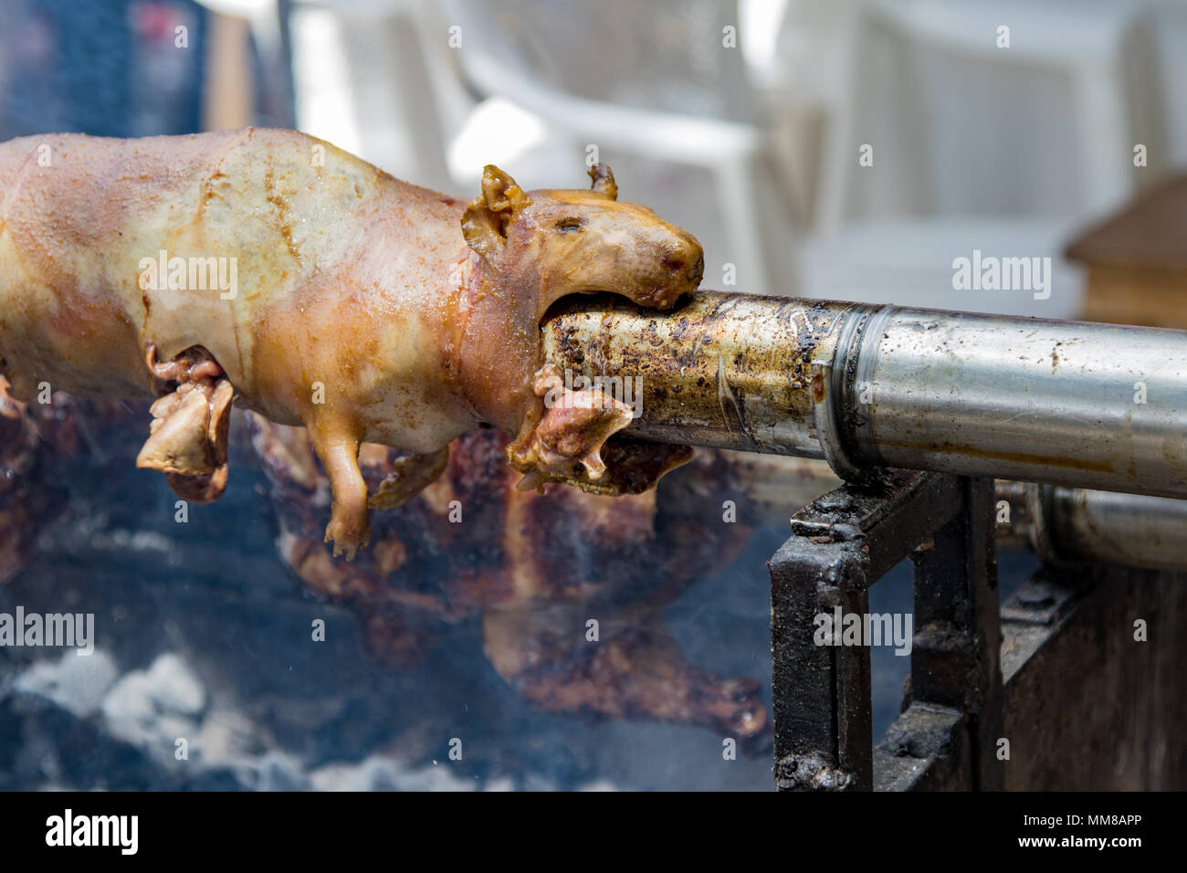 Roasted guinea pig delicious hi-res stock photography and images - Alamy