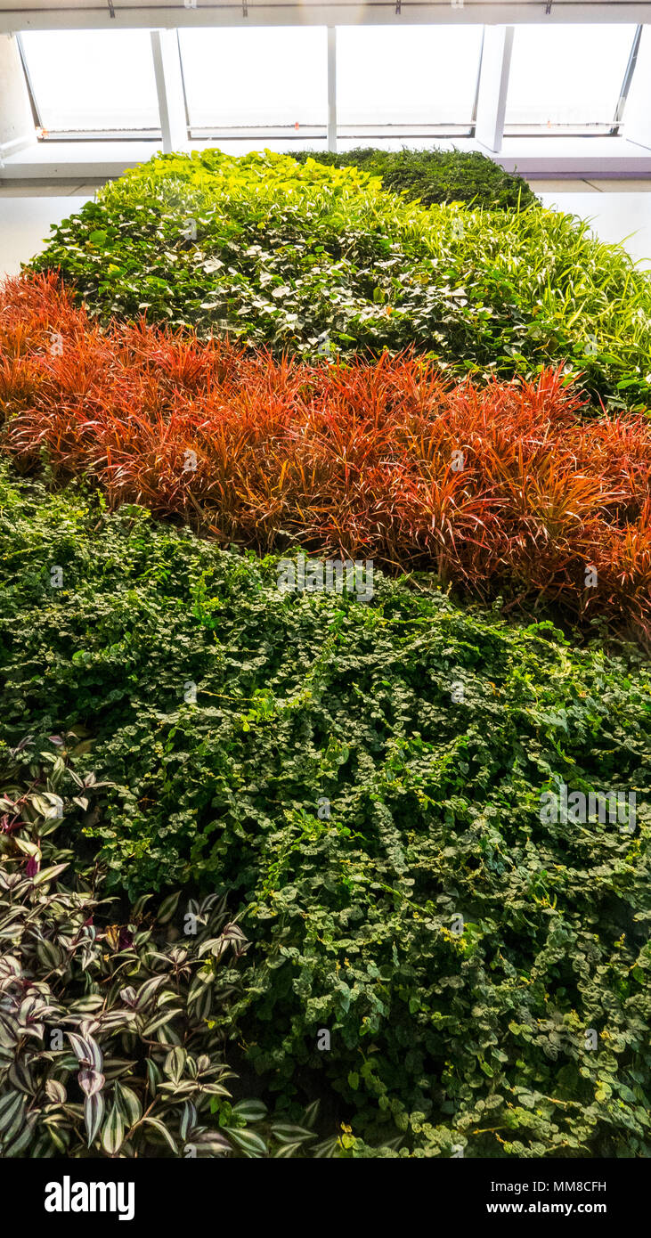 The Living Plant Wall in the Yawkey Gallery on the Charles River ...