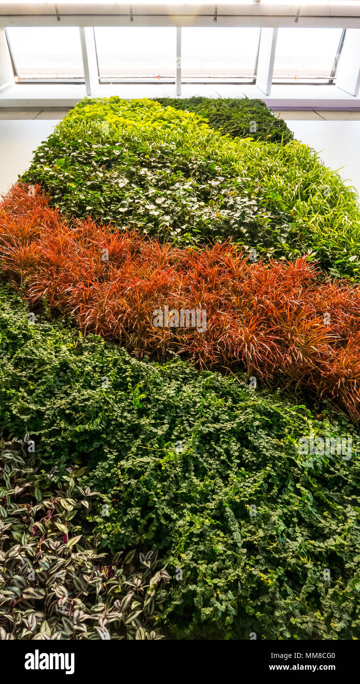The Living Plant Wall in the Yawkey Gallery on the Charles River ...