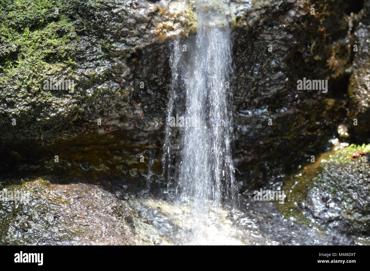 Small wet rocks hi-res stock photography and images - Alamy