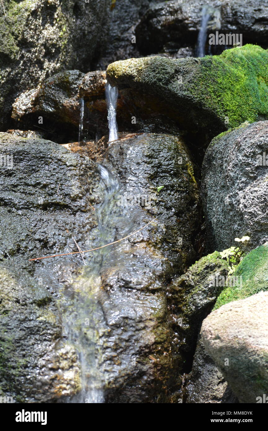 Small waterfall moss rocks hi-res stock photography and images - Alamy