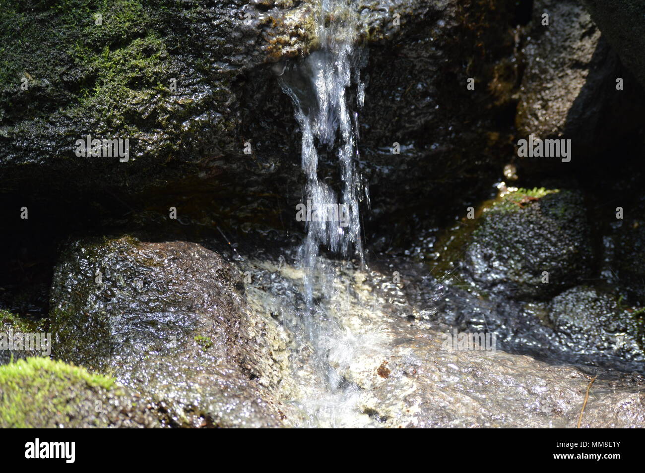 Small waterfall moss rocks hi-res stock photography and images - Alamy