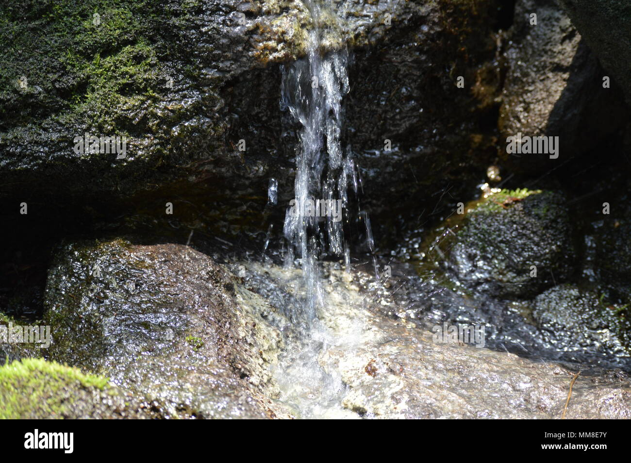 Small wet rocks hi-res stock photography and images - Alamy