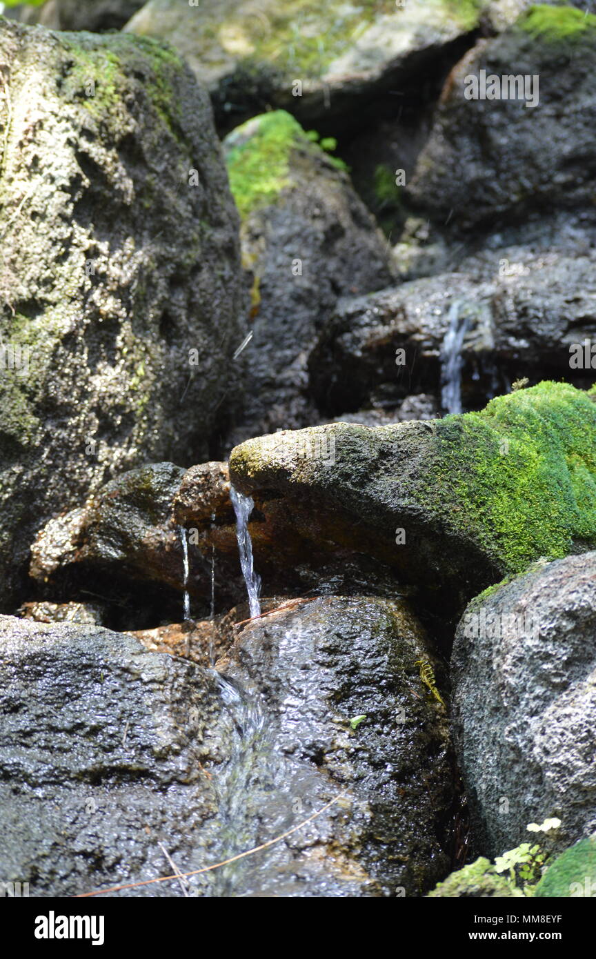Small waterfall moss rocks hi-res stock photography and images - Alamy