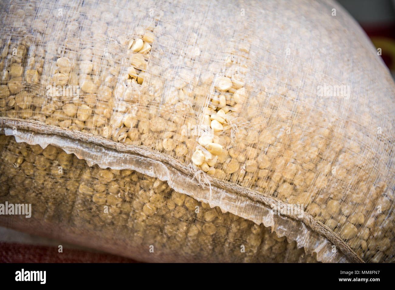 Bursting at the seams hi-res stock photography and images - Alamy