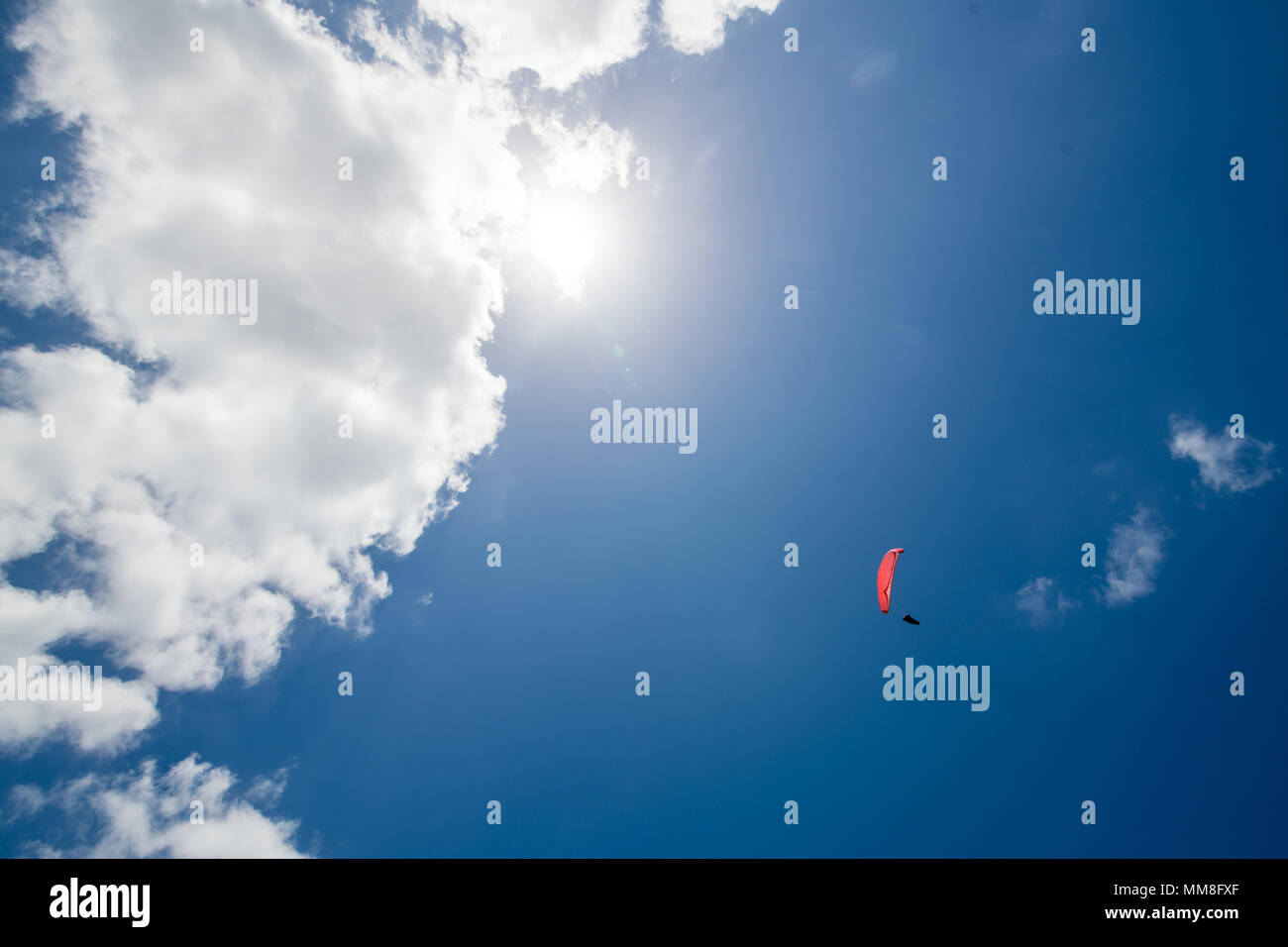 Parasailor in the sky above Cape Town, South Africa Stock Photo - Alamy