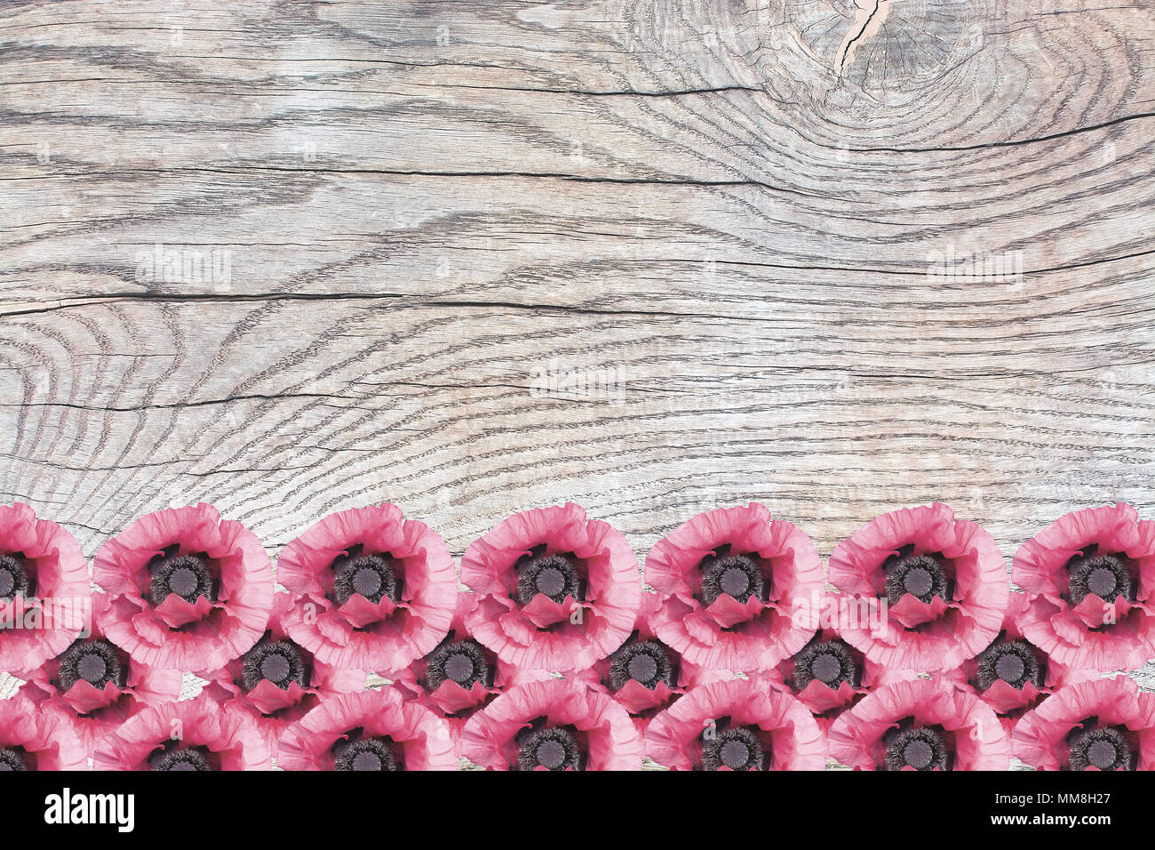Pink poppies on wood surface with patina, organic texture background ...
