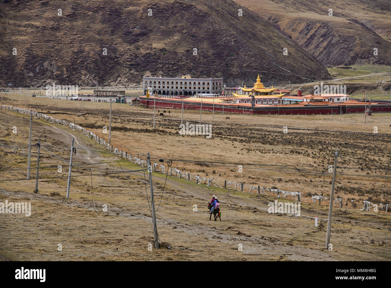 Tibet tower hi-res stock photography and images - Alamy