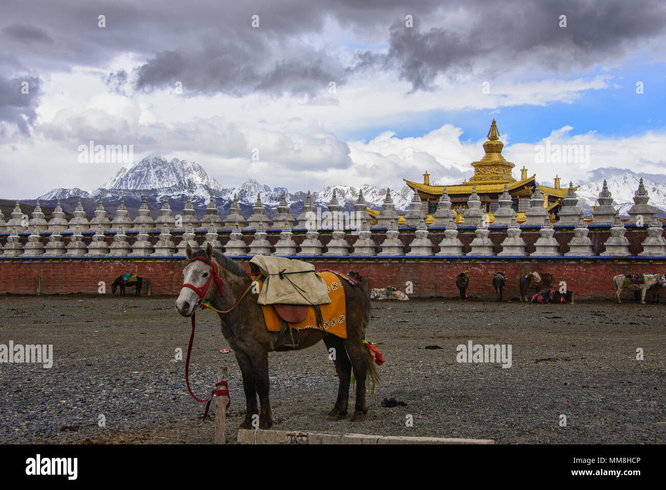 Zhakra mountains hi-res stock photography and images - Alamy