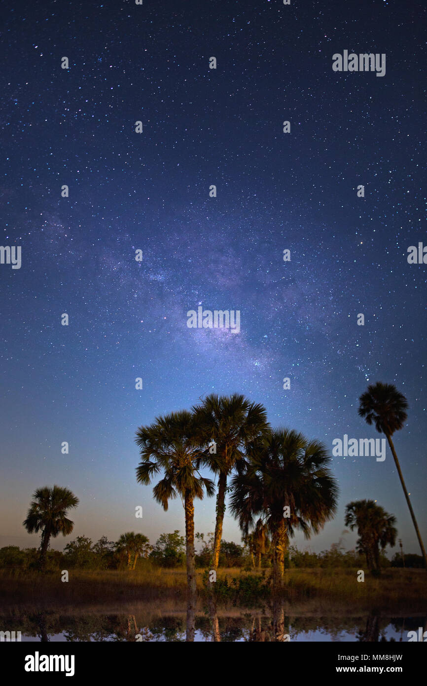 Digital Prints Art & Collectibles Night Sky Astrophotography Print ...