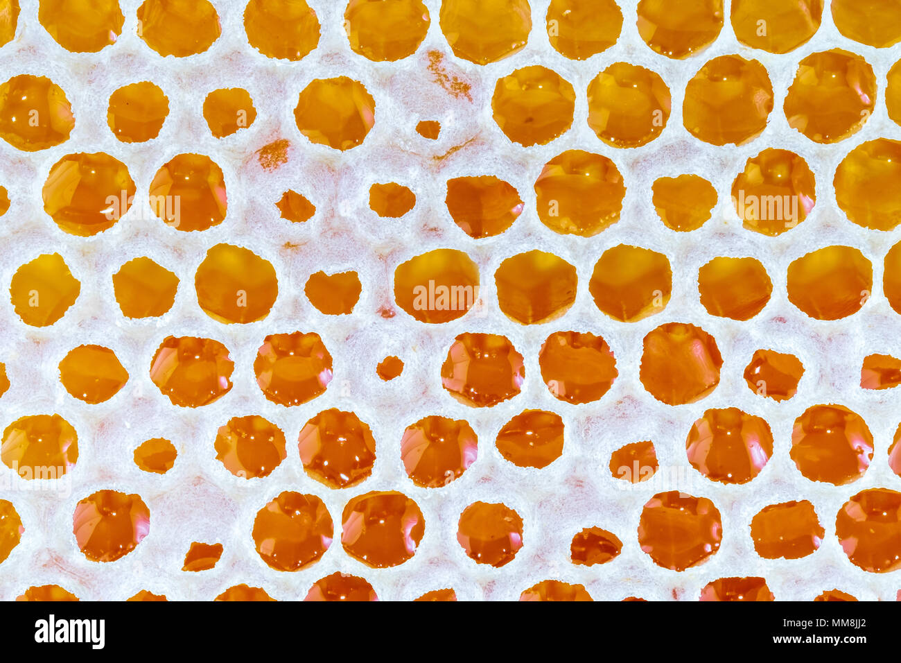 Honey texture hi-res stock photography and images - Alamy