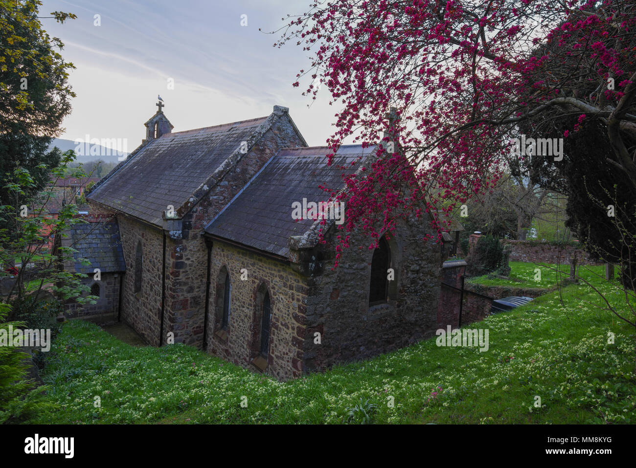 Cofton devon hi-res stock photography and images - Alamy