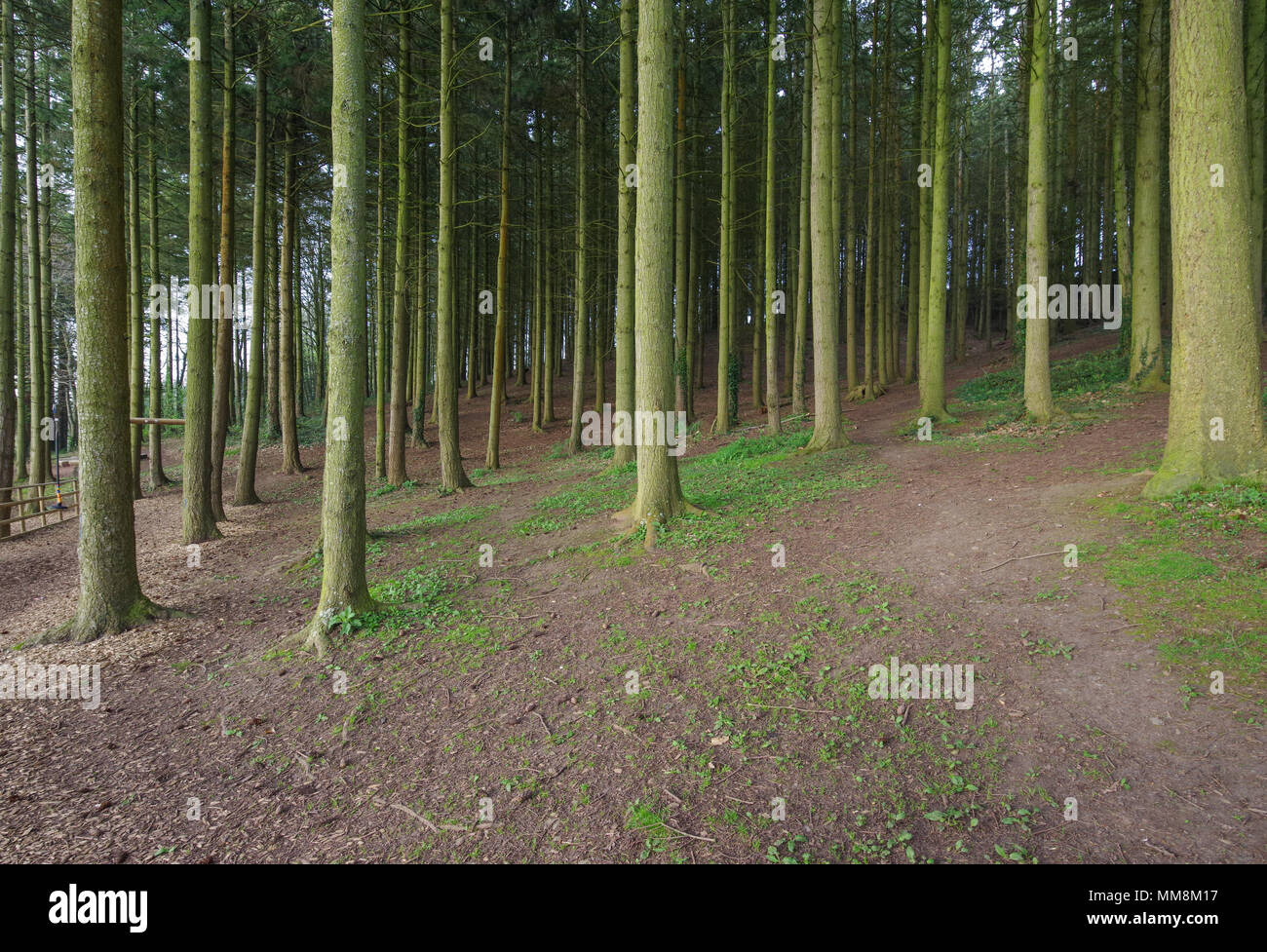 Cofton devon hi-res stock photography and images - Alamy