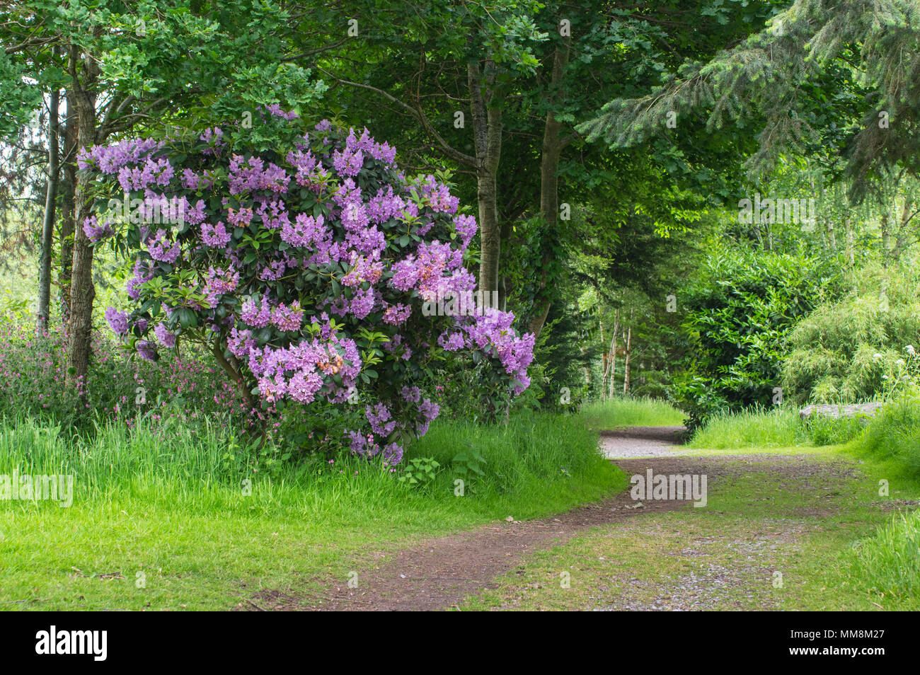 Cofton devon hi-res stock photography and images - Alamy