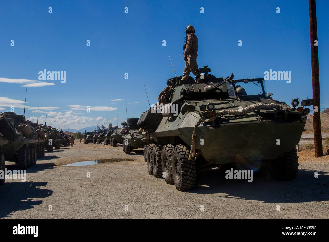 Marines with Company B, 1st Light Armored Reconnaissance Battalion ...