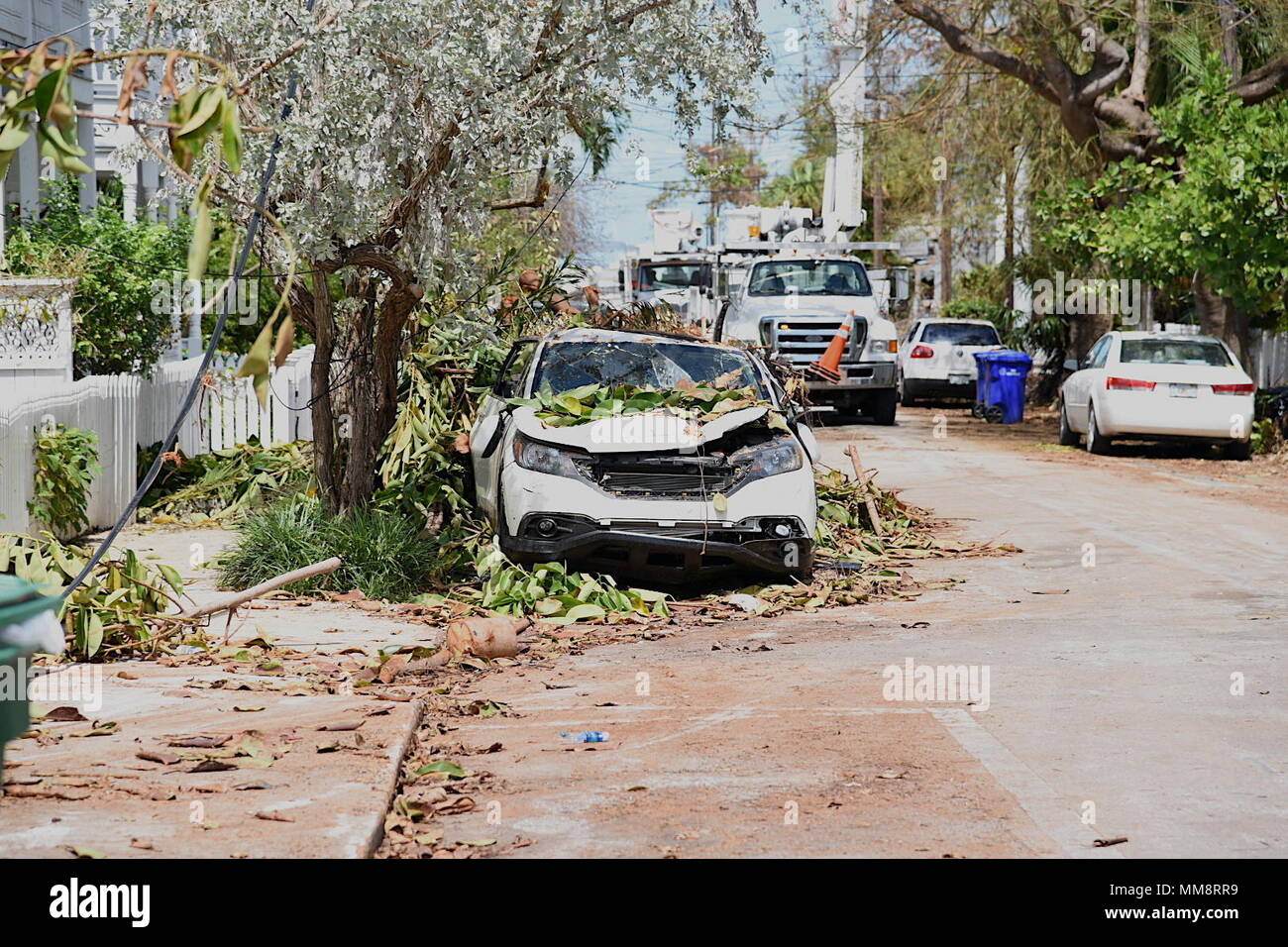 A street in downtown Key West, Florida is still impassable as damaged ...