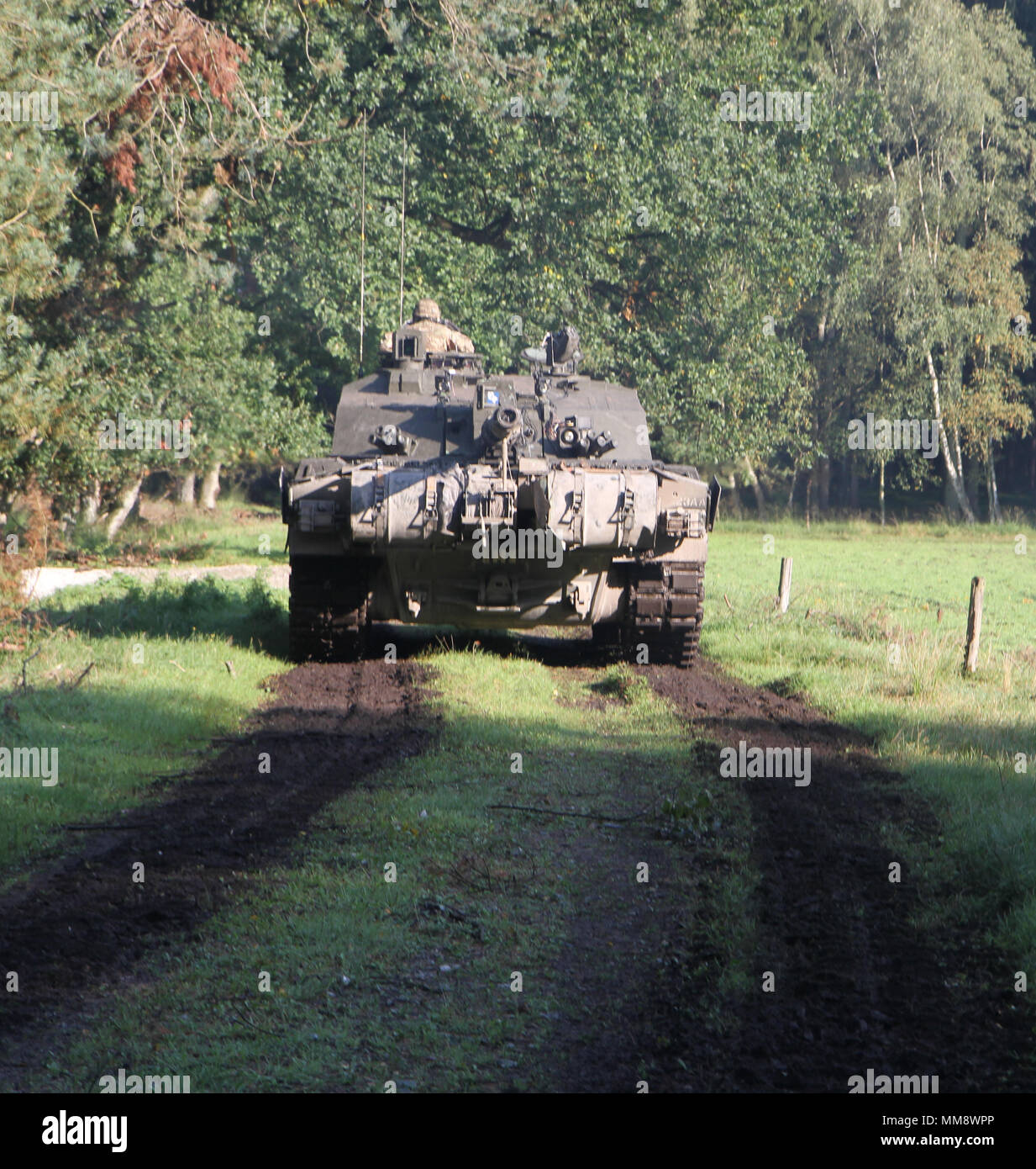 On Sept. 16, 2017 tanks of the Royal Wessex Yeomanry, a British Reserve ...