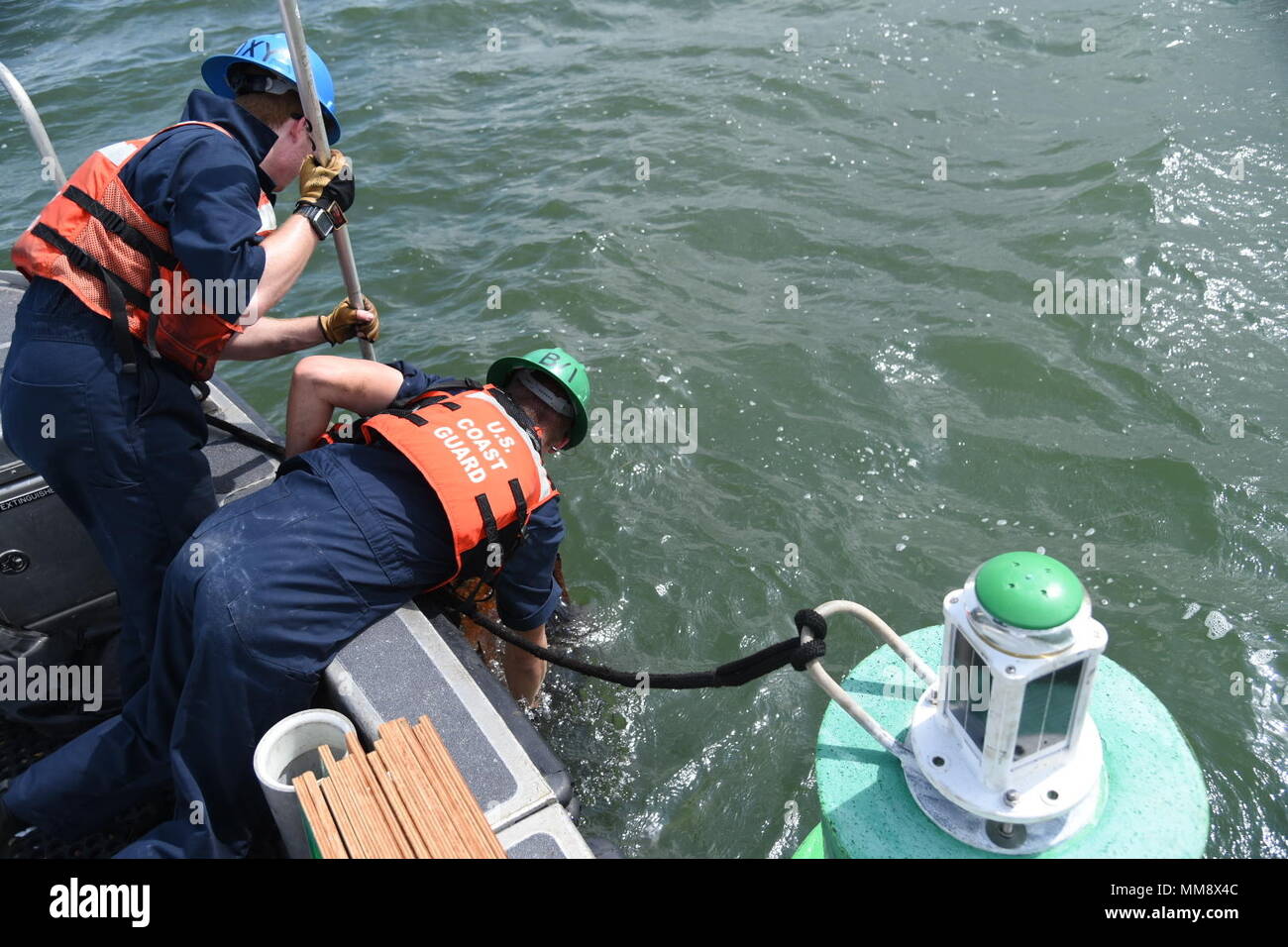 Ant key west hi-res stock photography and images - Alamy