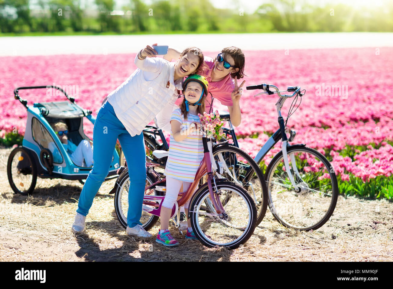 Dutch family riding bicycle in tulip flower fields in Netherlands ...