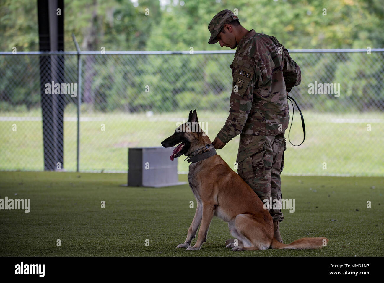 Military Working Dog (MWD) Nnorton and Senior Airman Cody Carr, 823d ...