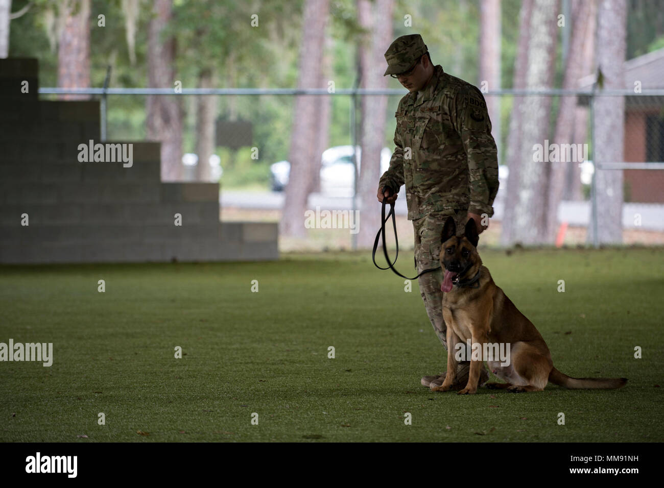 Military Working Dog (MWD) Jago and Senior Airman Martin Chesley, 824th ...