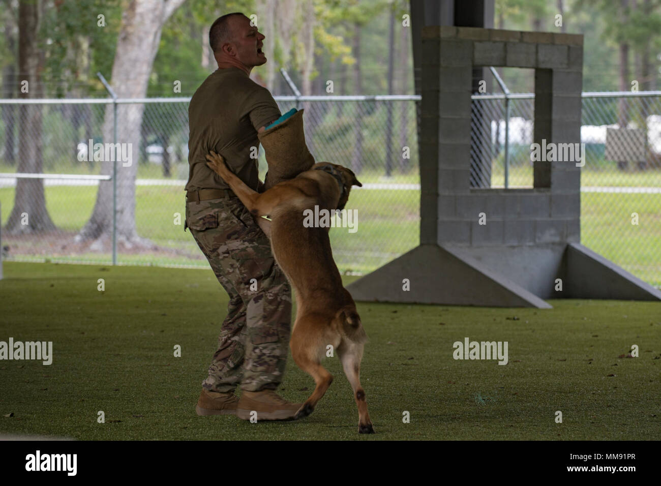 823d Base Defense Squadron is a United States Air Force security forces ...