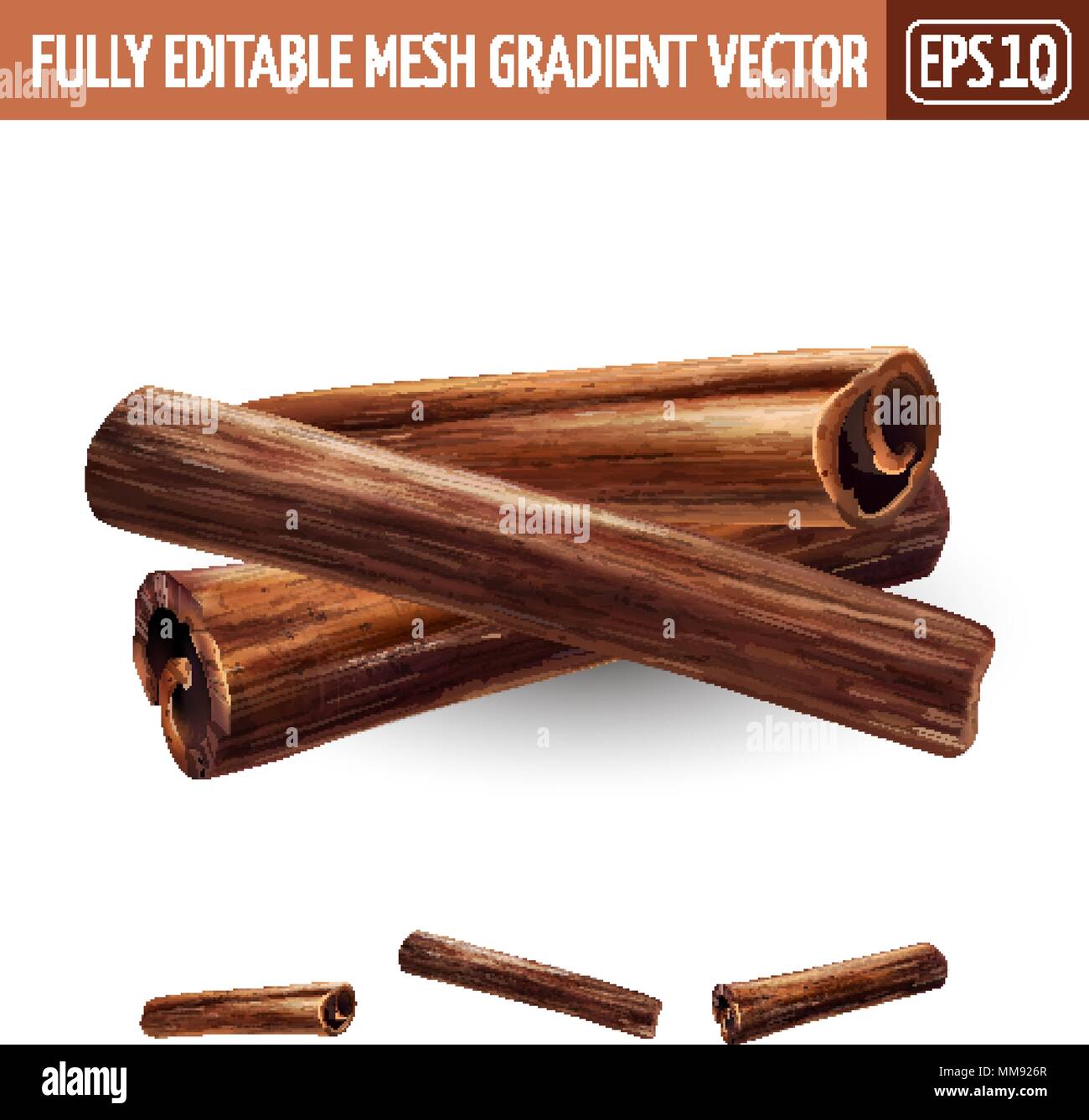 Cinnamon on white background. Vector illustration Stock Vector Image ...