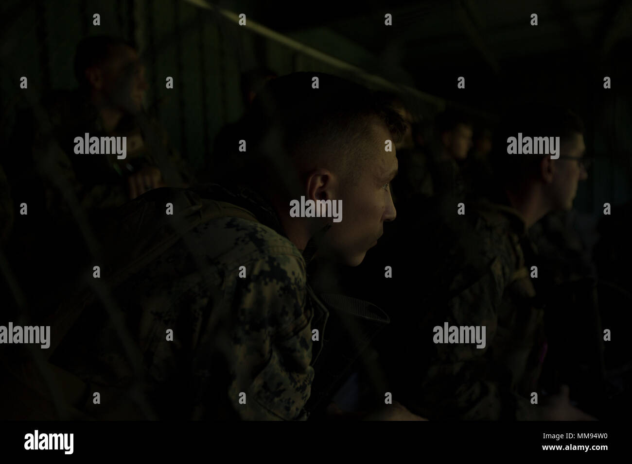 Lz cc hi-res stock photography and images - Alamy