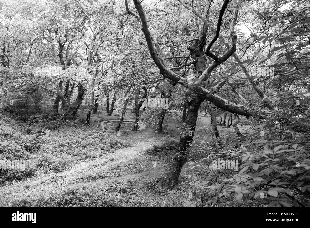 Long exposure curve Black and White Stock Photos & Images - Alamy