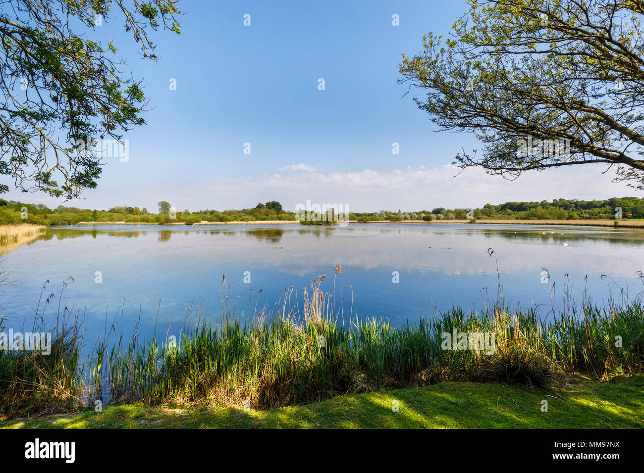 Historic (medieval) Old Alresford Pond, New Alresford, a small town or ...