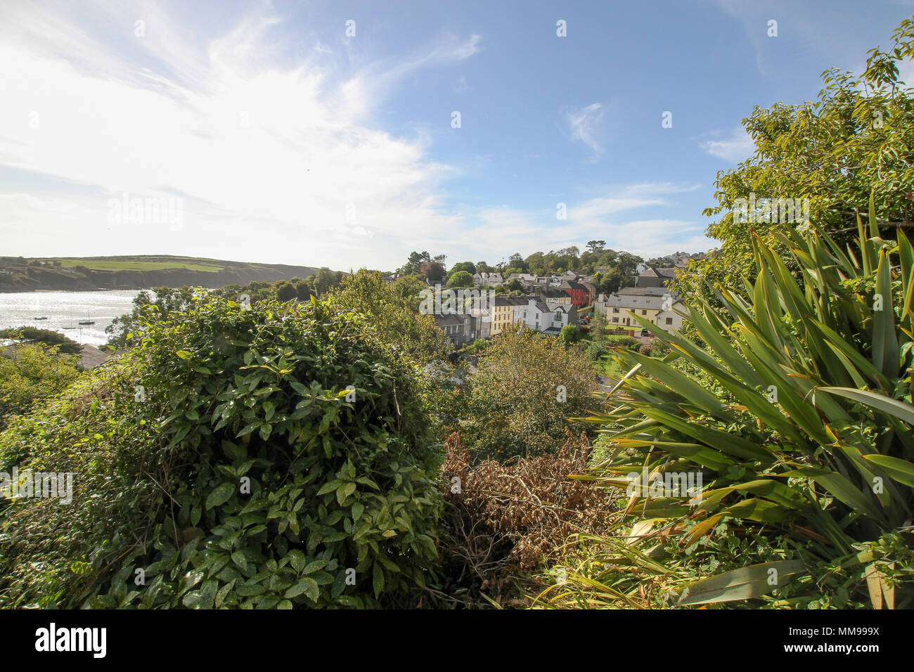 Castlehaven harbour west cork ireland hi-res stock photography and ...