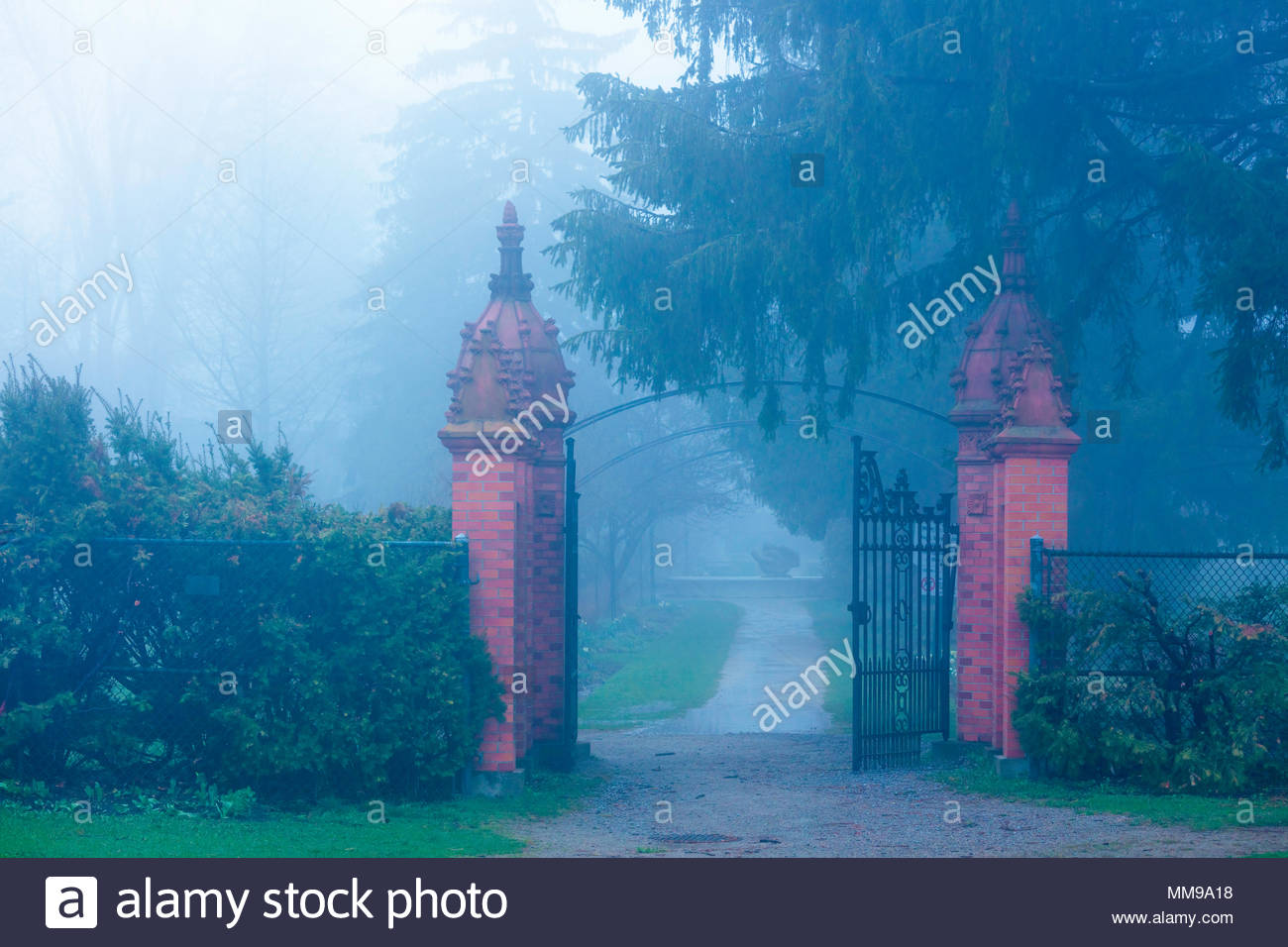 Entrance Gate Trees High Resolution Stock Photography and Images - Alamy