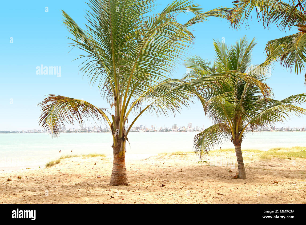 Beach, Cabedelo, João Pessoa, Paraiba, Brazil Stock Photo - Alamy