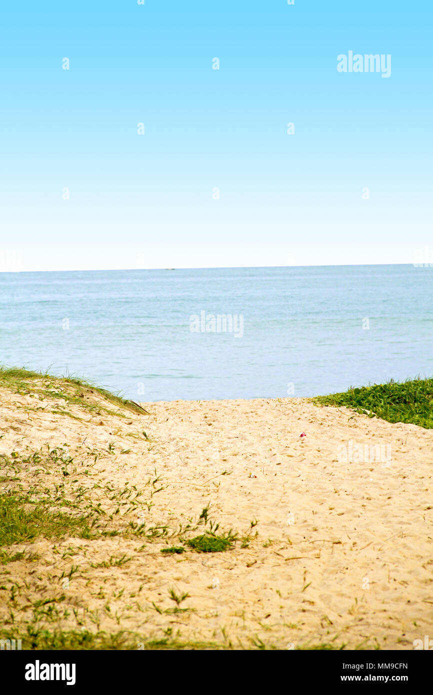 Brazil grass bush beach hi-res stock photography and images - Alamy