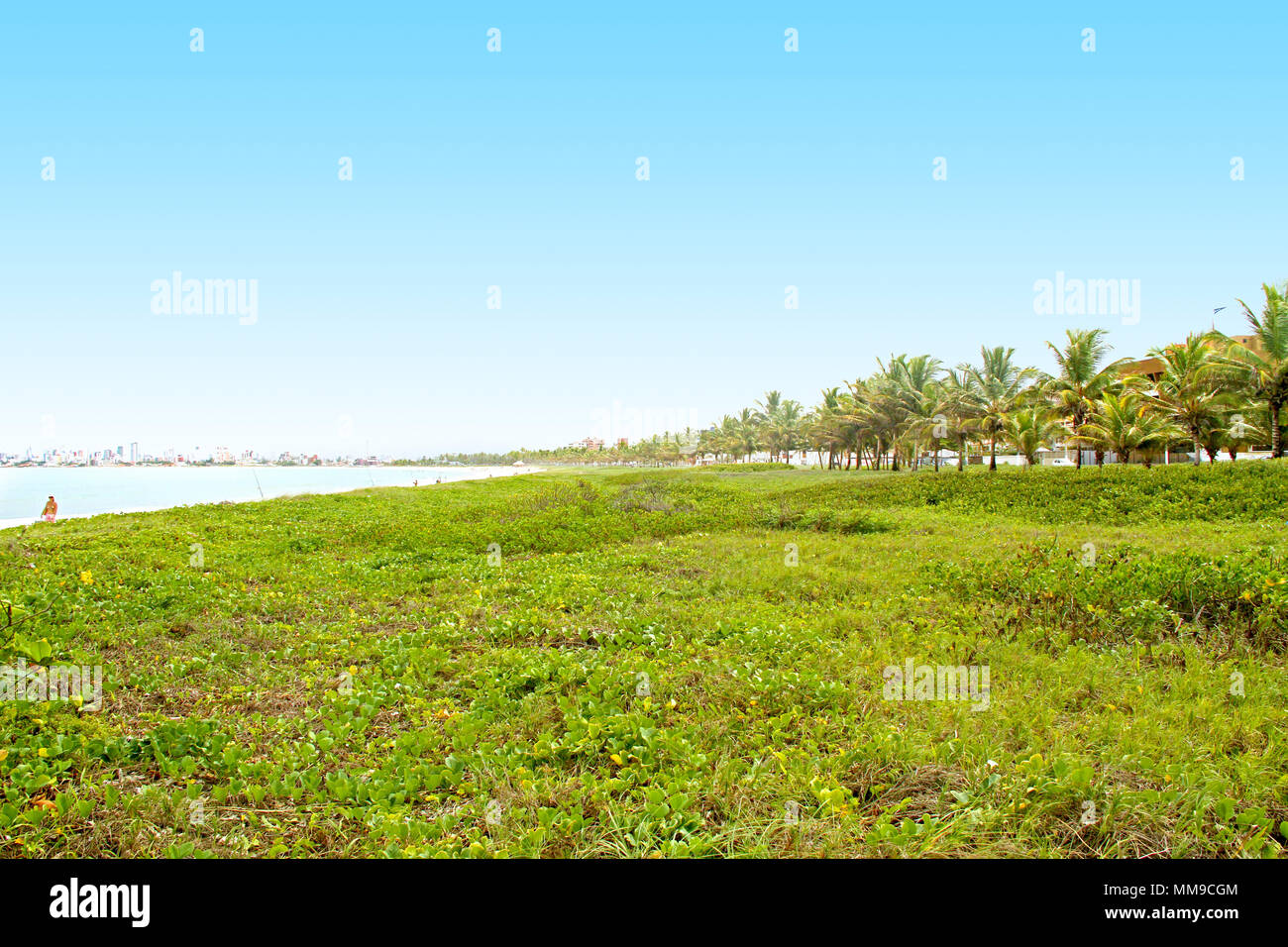 Beach, Cabedelo, João Pessoa, Paraiba, Brazil Stock Photo - Alamy