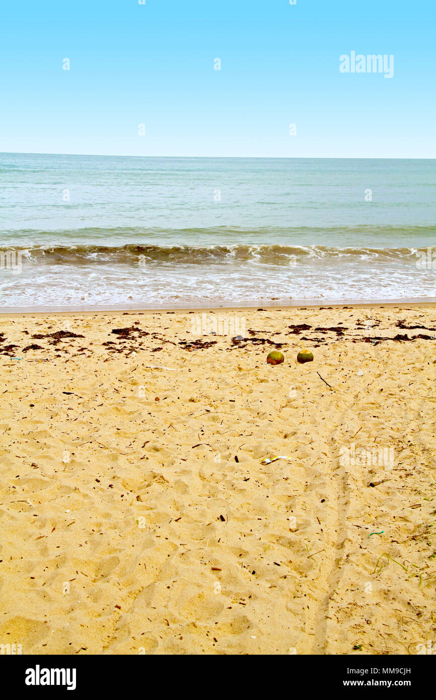 Beach, Cabedelo, João Pessoa, Paraiba, Brazil Stock Photo - Alamy