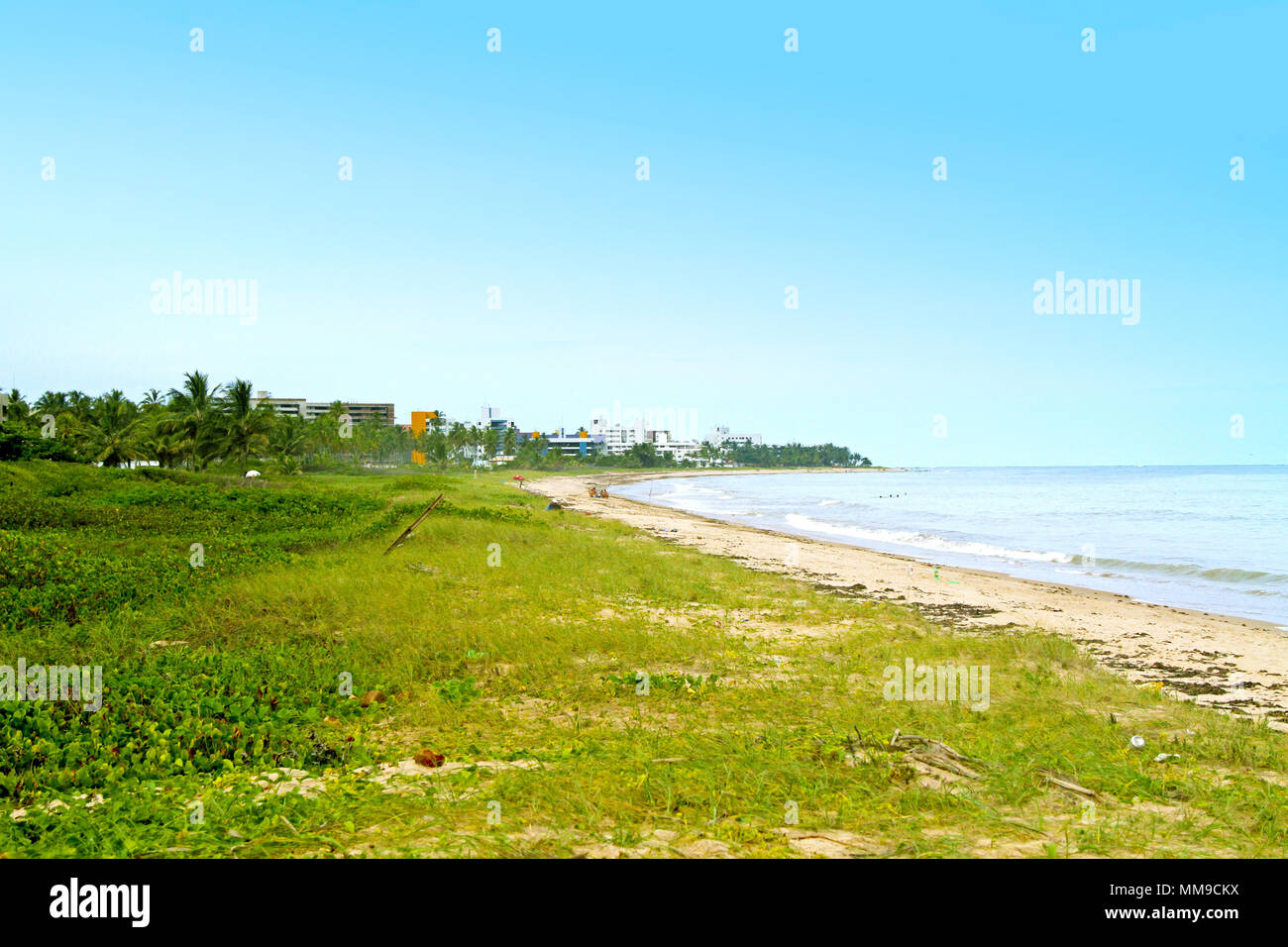 Brazil grass bush beach hi-res stock photography and images - Alamy