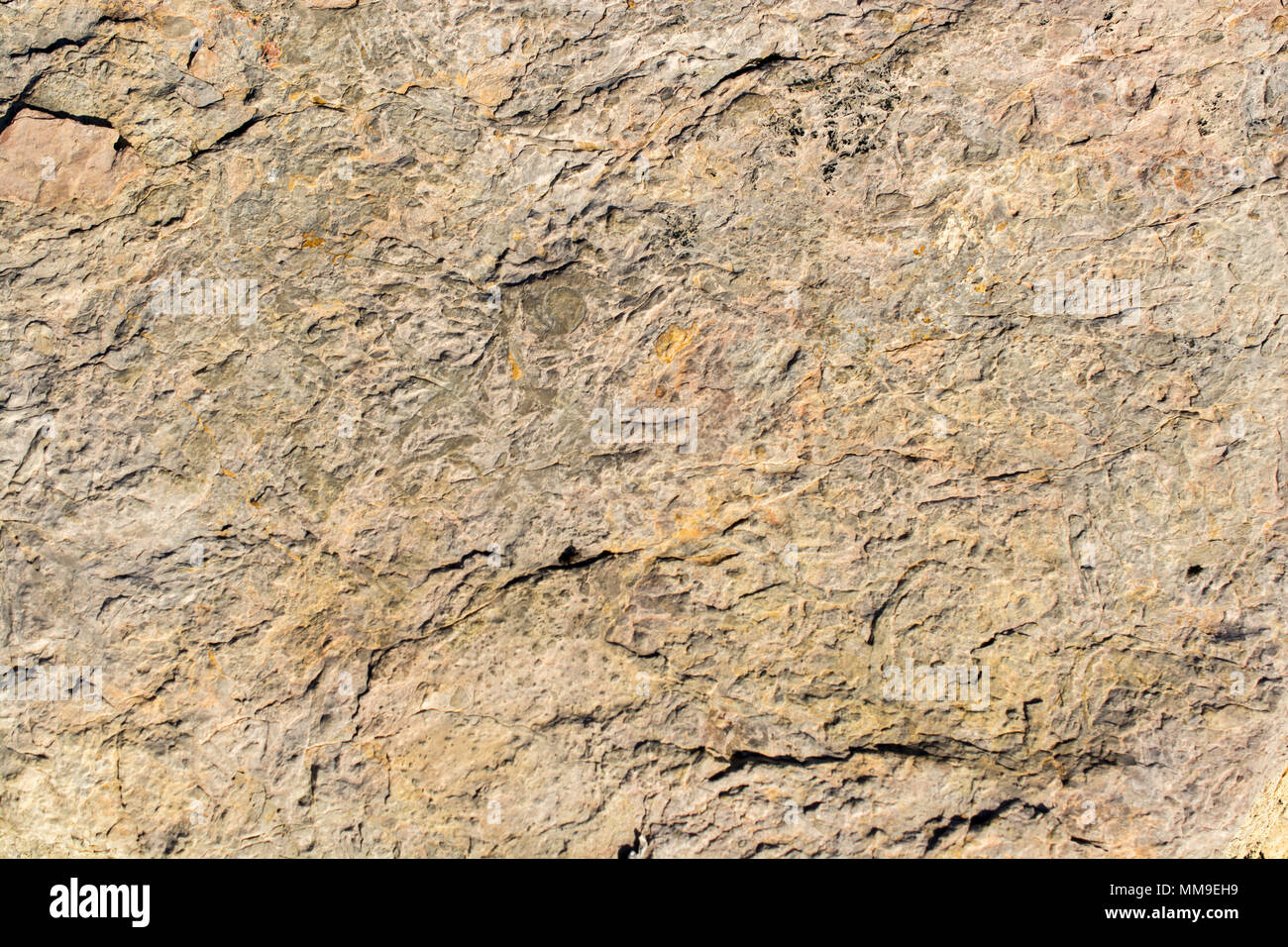 Natural rock or Stone surface as background texture Stock Photo - Alamy