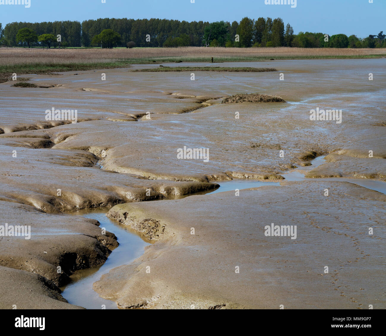 Panorama across Iken marshes and river Alde, Suffolk, England Stock ...