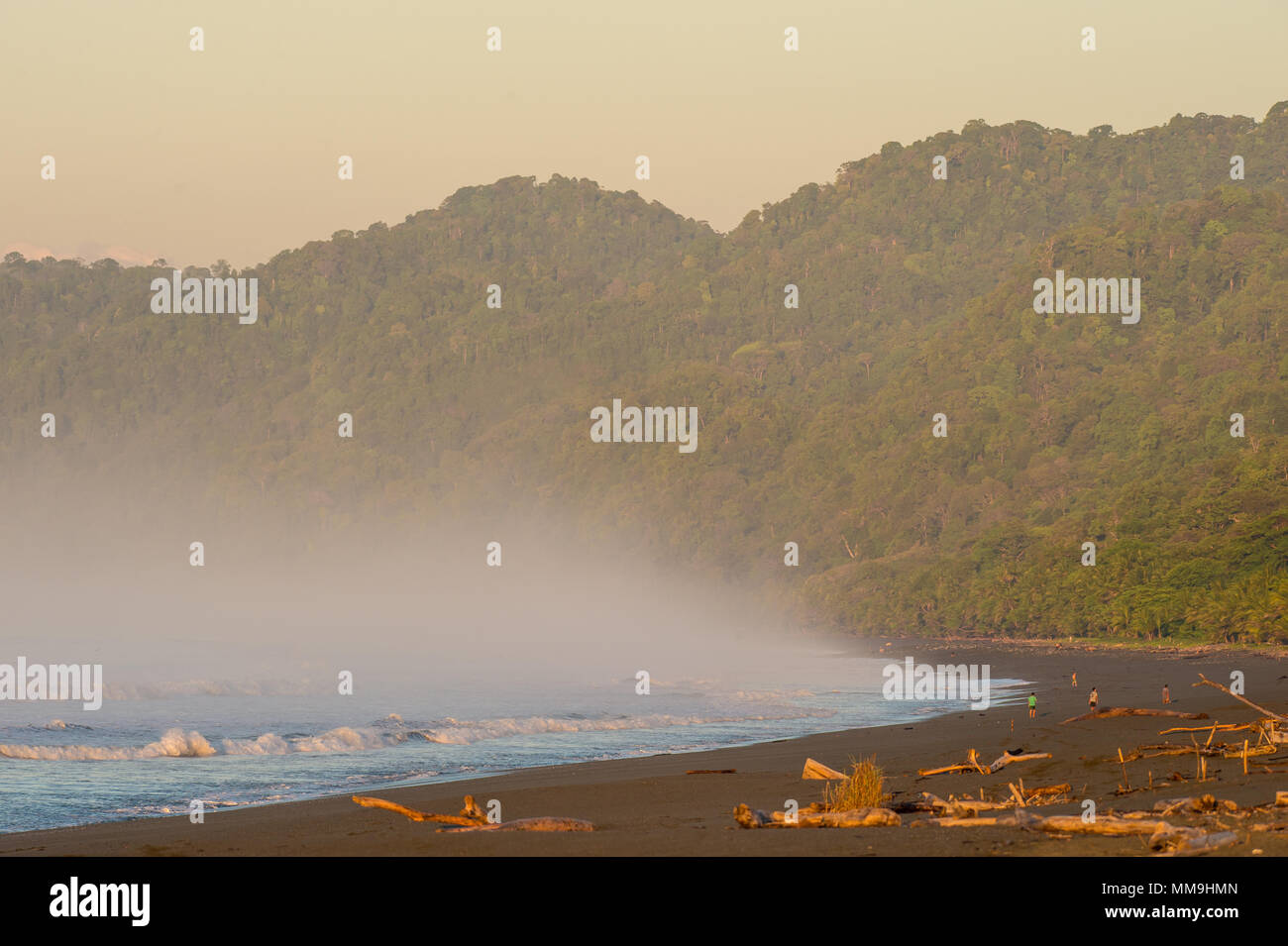 Carate Beach, Corcovado National Park, Osa Peninsula, Costa Rica, Centroamerica Stock Photo - Alamy