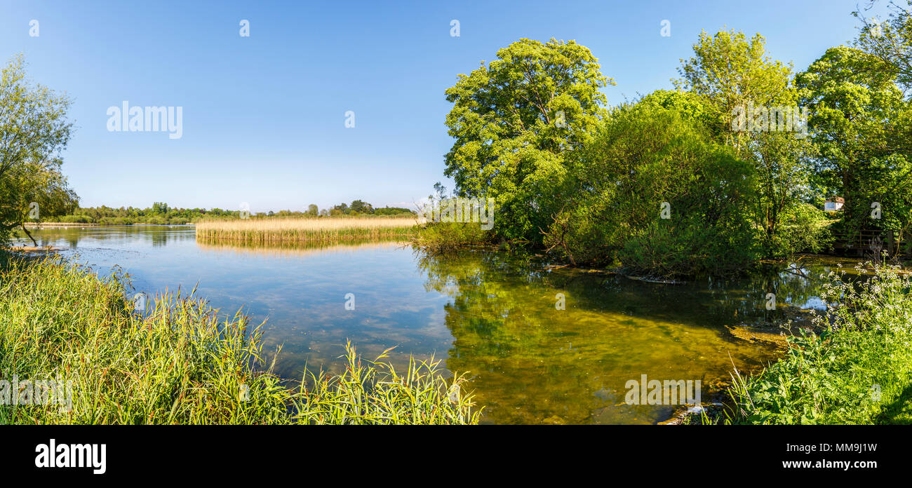 Old alresford hi-res stock photography and images - Alamy