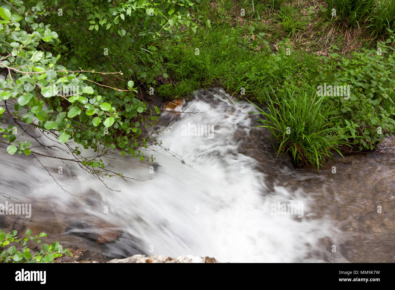 Stream in the forest in color Stock Photo - Alamy