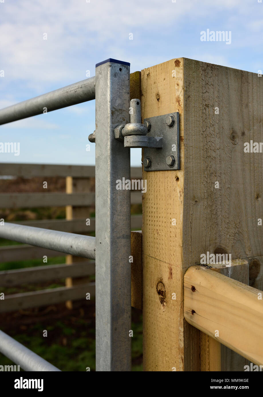 Sheep Pen Gate