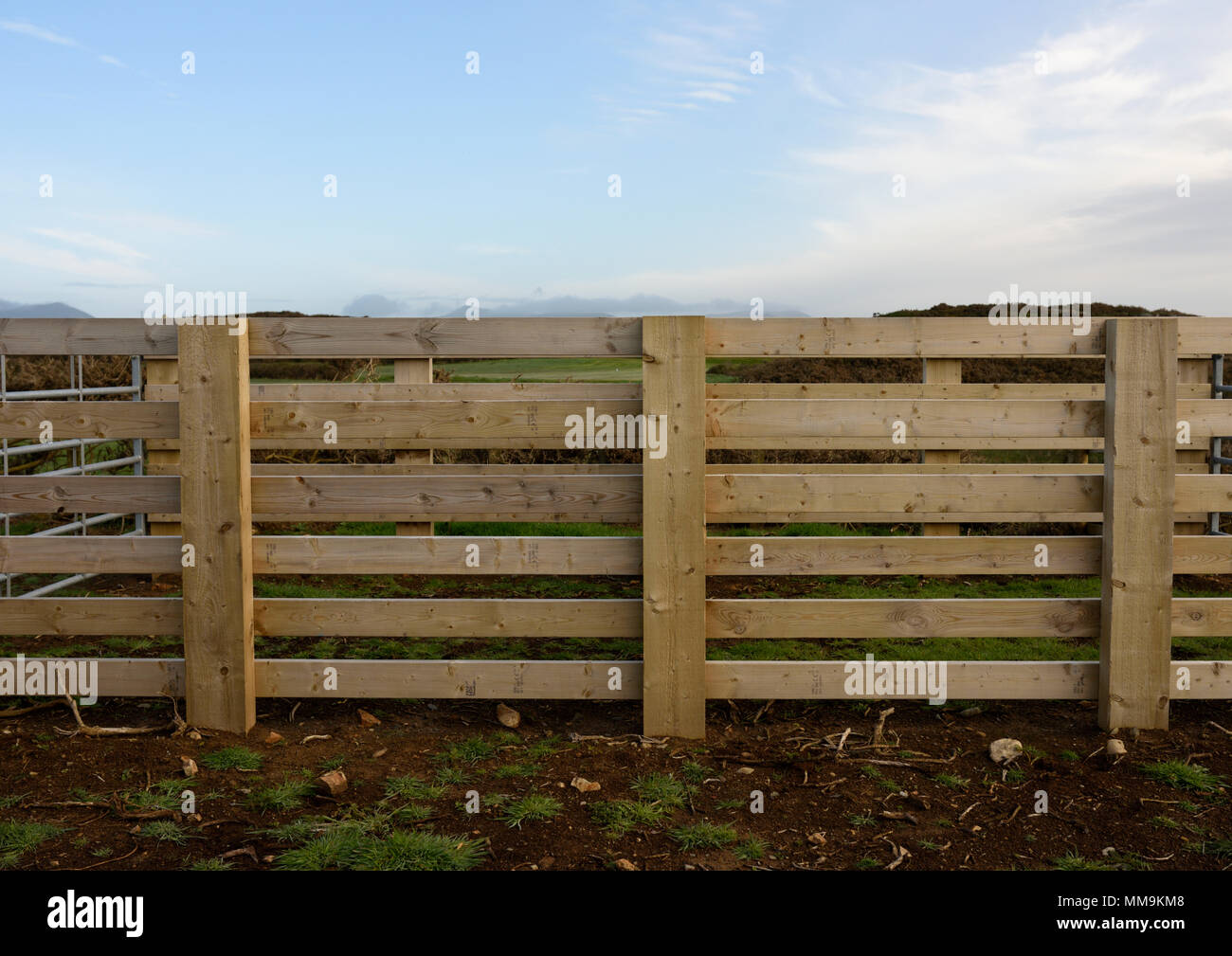 Timber Sheep pen in north wales uk Stock Photo - Alamy