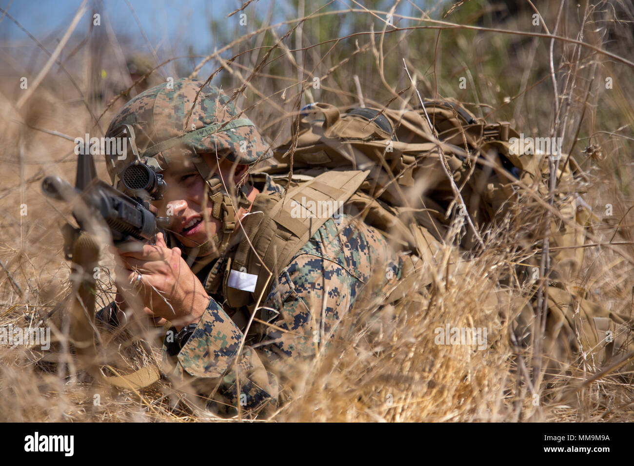 Roderick kyle hi-res stock photography and images - Alamy