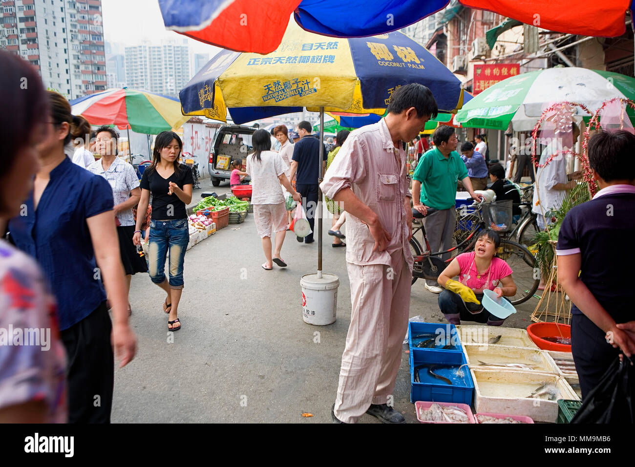 Dajing Dajing High Resolution Stock Photography and Images - Alamy