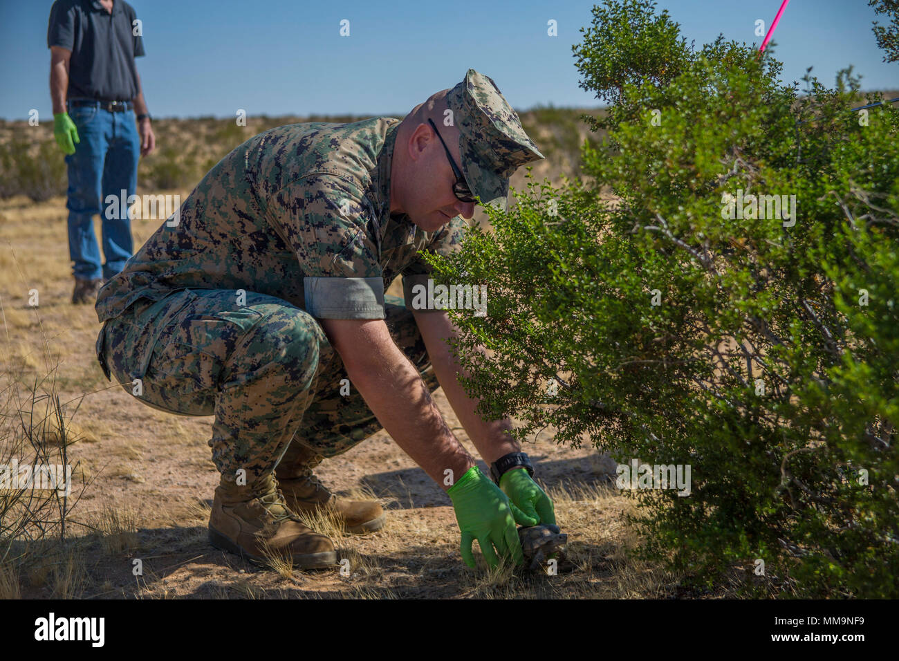 Col. Jay Wylie, directorate, Natural Resources and Environmental ...