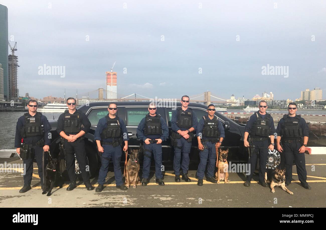 Explosive k9 events hi-res stock photography and images - Alamy