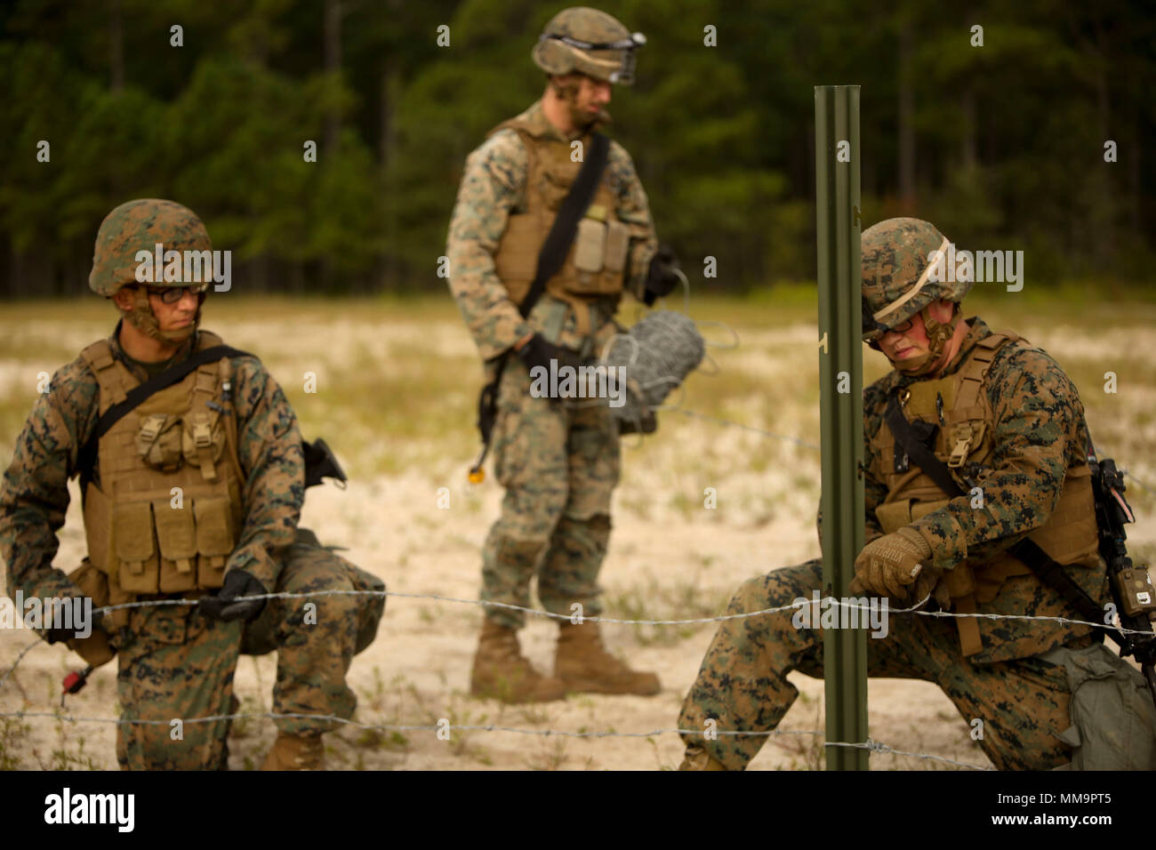 Marines stretch barbed wire around their living area during a field ...