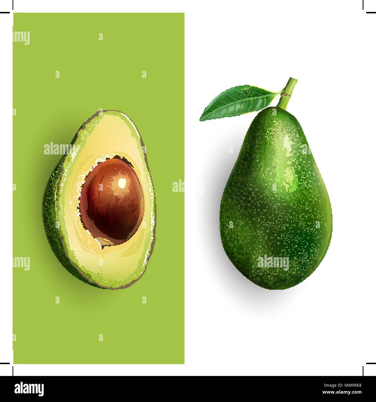 Avocado. Vector illustration Stock Vector Image & Art - Alamy